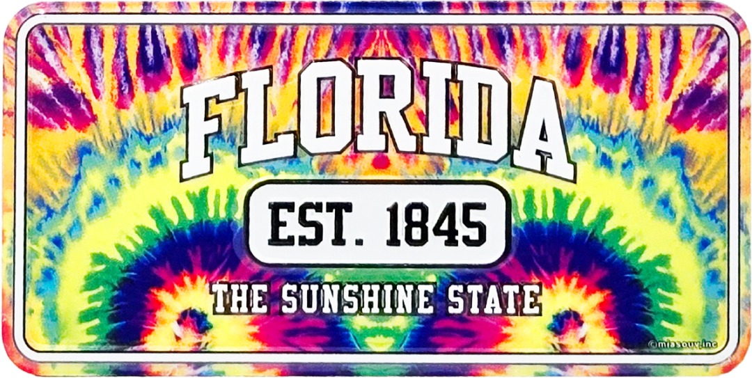 Miami Souvenirs: MAGNET FLORIDA LICENSE PLATE