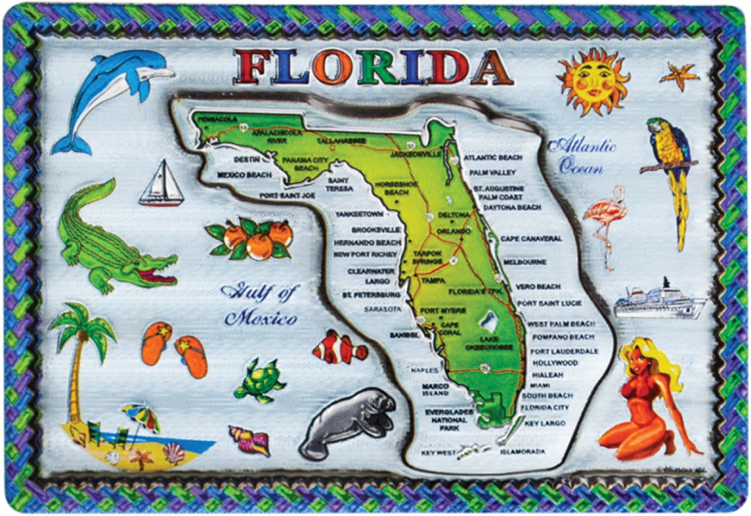 Miami Souvenirs: FLORIDA MAP FOIL MAGNETS
